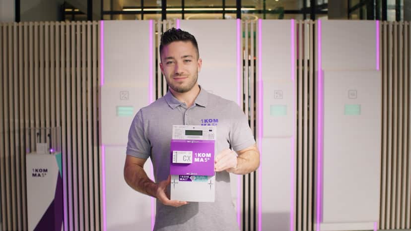 Günstiger & sauberer Strom mit Dynamic Pulse: Dynamischer Tarif in der Praxis