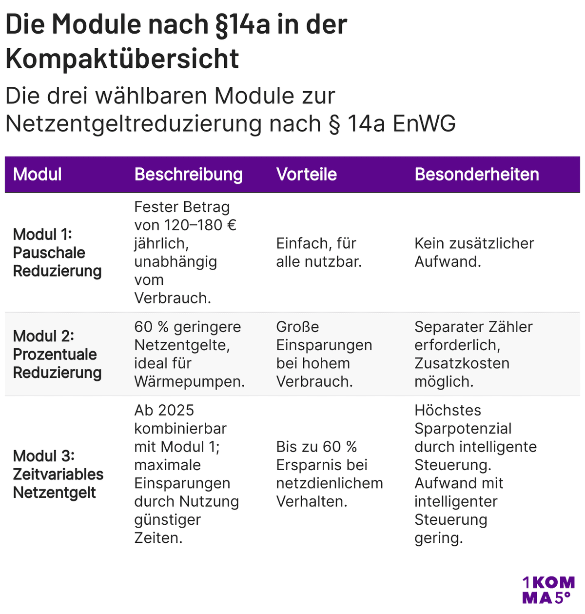 § 14a EnWG: Dynamische Netzentgelte und smarte Energienutzung erklärt